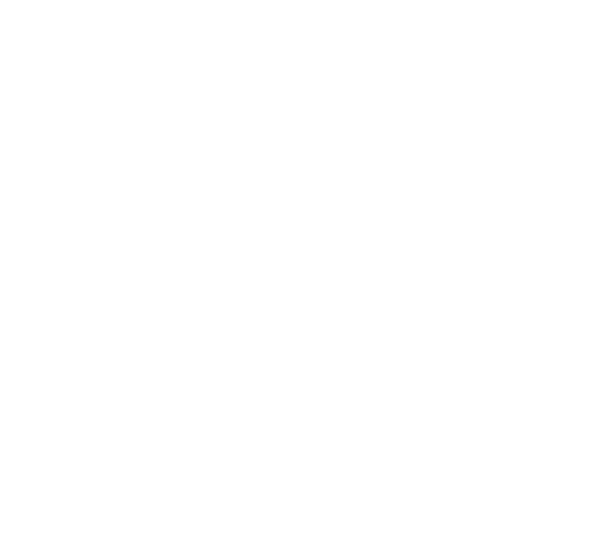 Advanced IT Solutions: Programming, Networking, Security